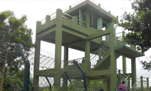 Important sightseen of Sundarban